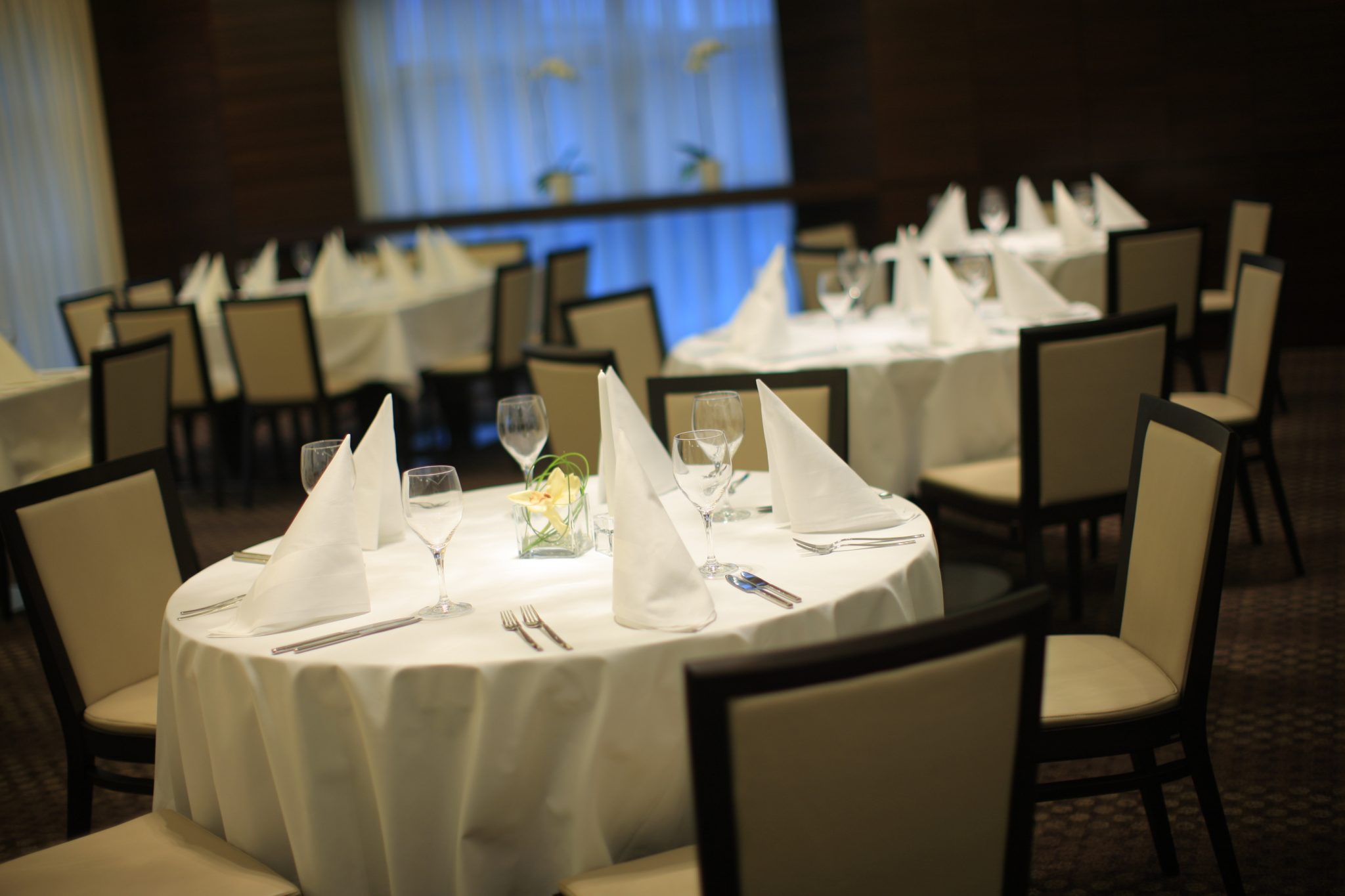 Hotel Aristos Zagreb | Restoran Tiara